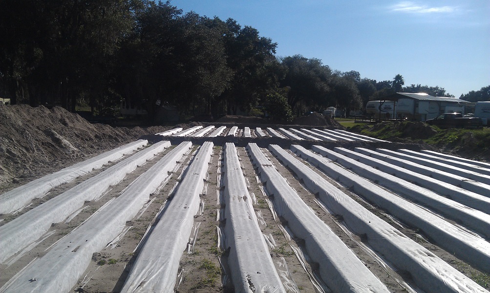 What’s Involved in a Drain Field Design? | Southern Water and Soil